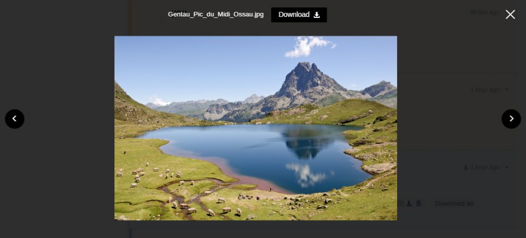 Extended Attachments Module – FreeScout